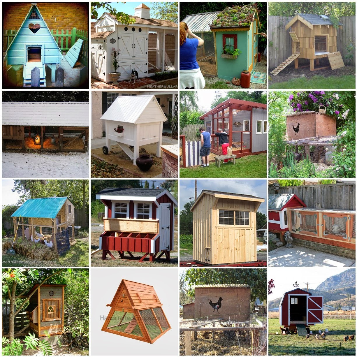Creative Cozy Chicken Coops
